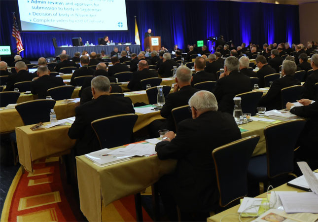 USCCB General Assembly November 15-18, 2021 | Diocese of Saginaw